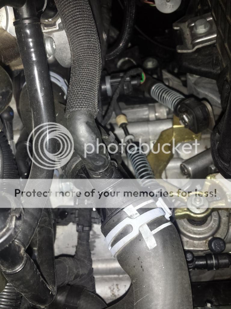 She's Bleeding! | VW Vortex - Volkswagen Forum