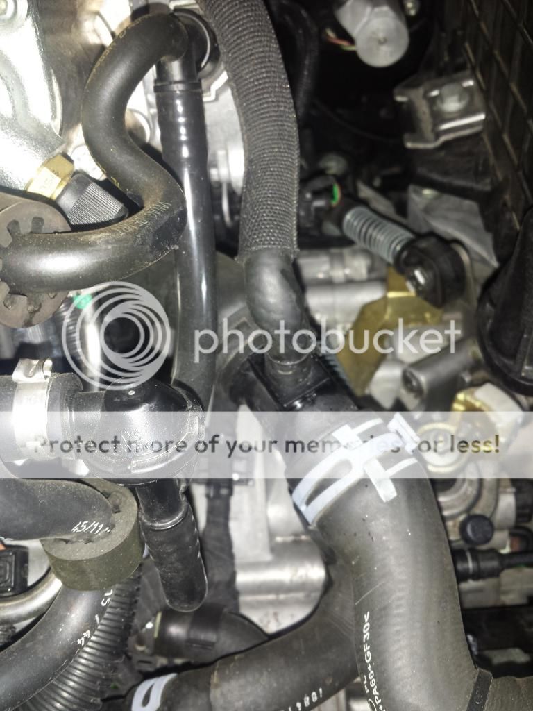 She's Bleeding! | VW Vortex - Volkswagen Forum