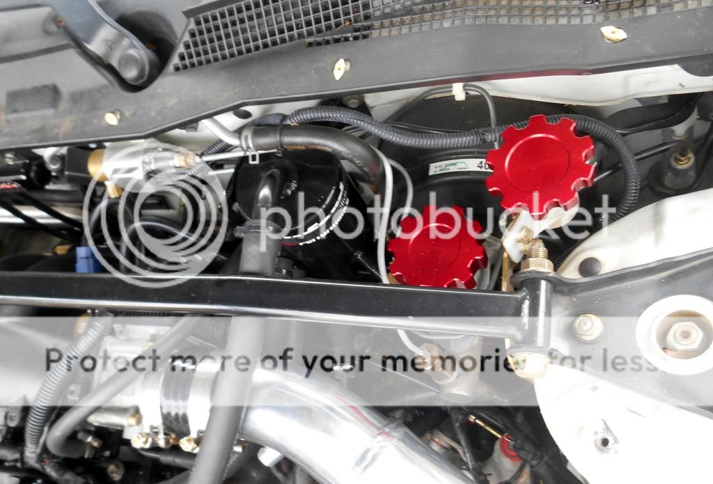 All B15 Models - The Clean Tuck Project | A Nissan Sentra Forum