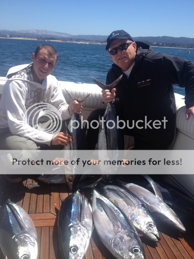 Monterey Bay Albacore Report | Bloodydecks